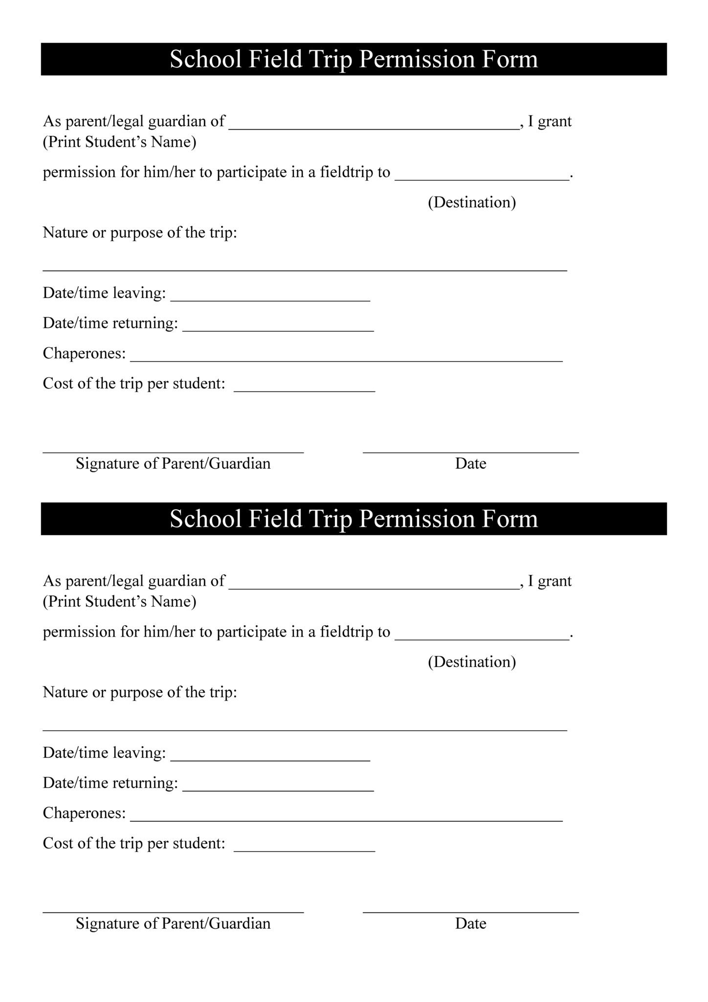 FREE Editable Permission Slip Template | Instant Download